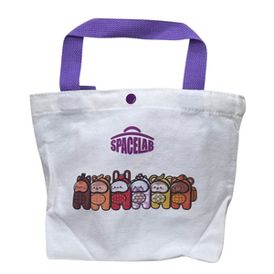 Space Lab Bag